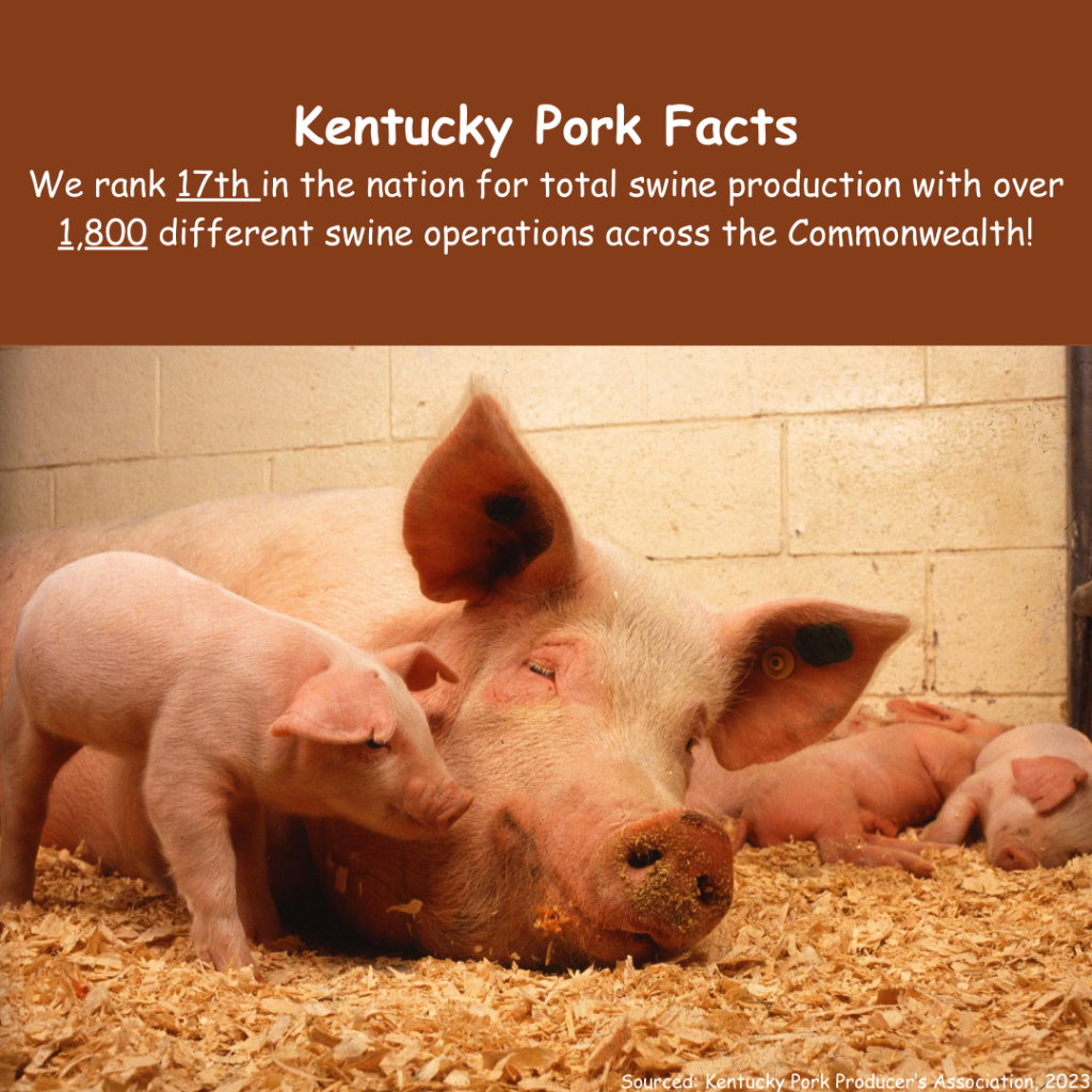 Kentucky Pork Facts – Fayette County Farm Bureau Federation